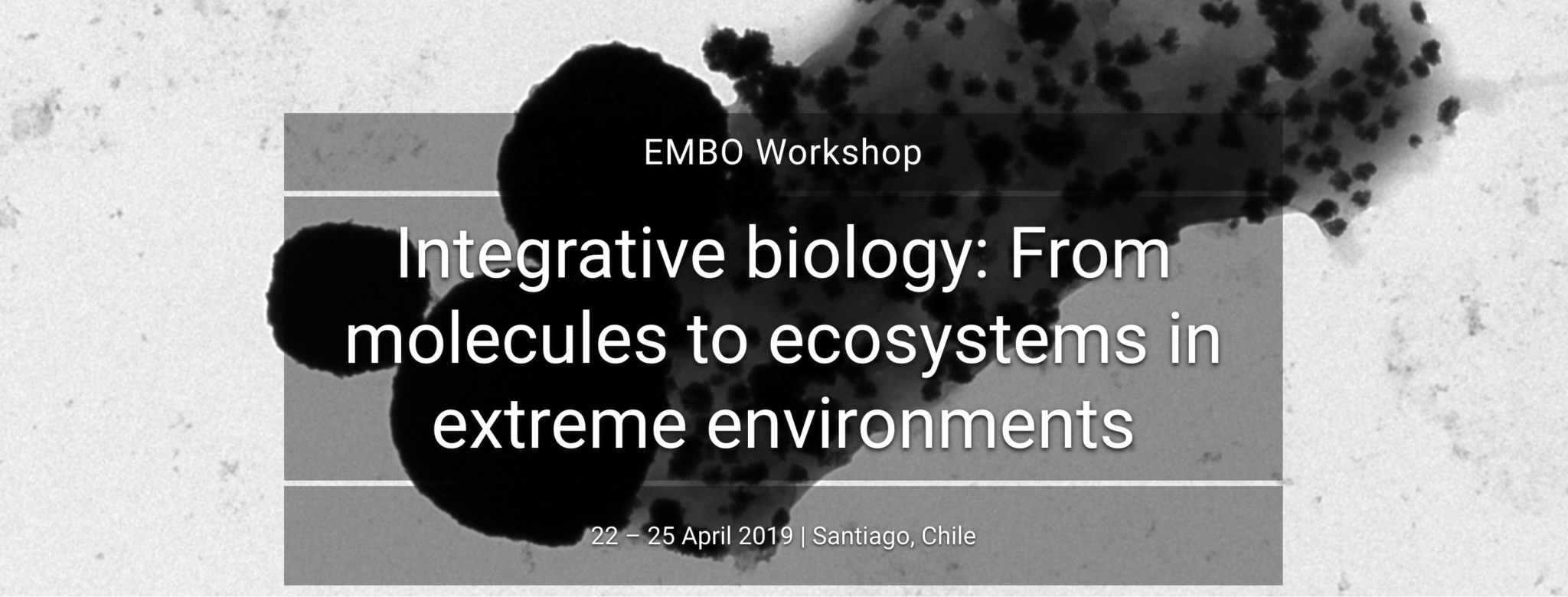 Integrative biology: From molecules to ecosystems in extreme ...
