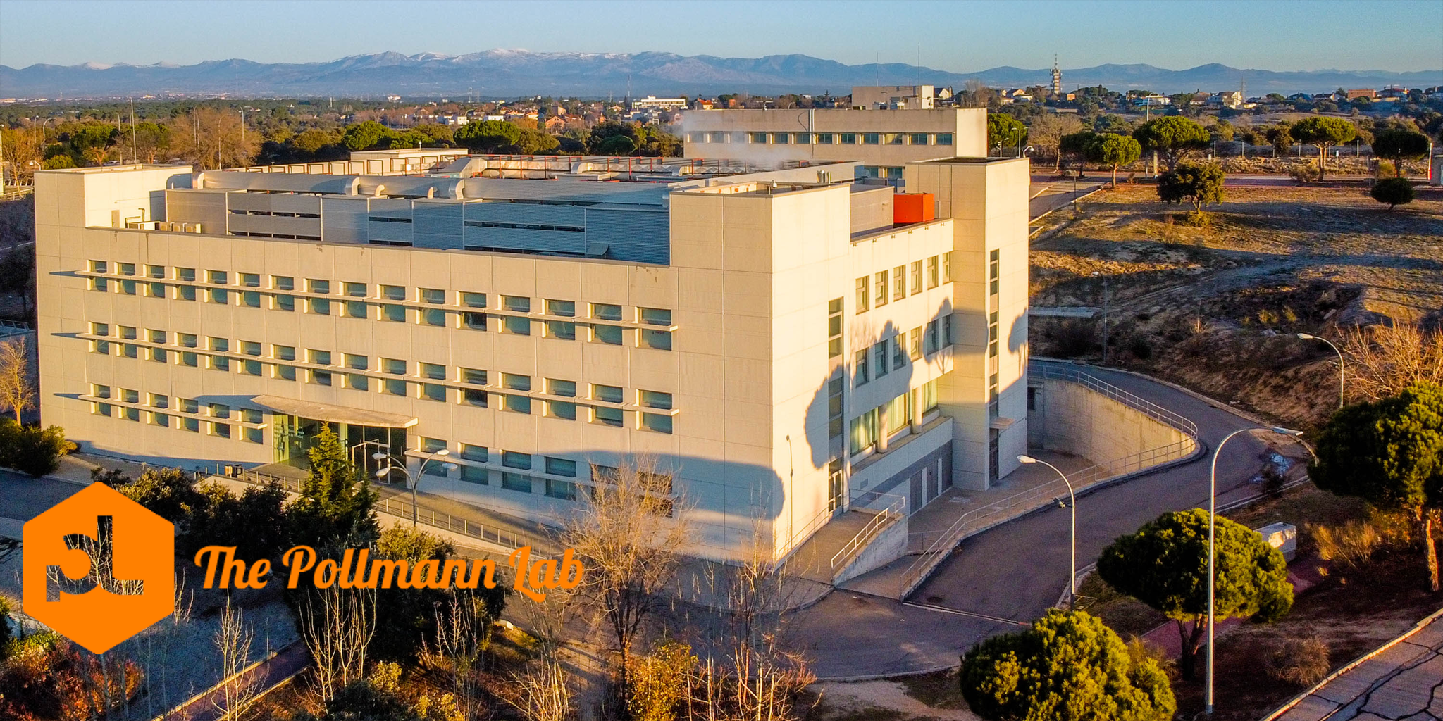 The Pollmann Lab