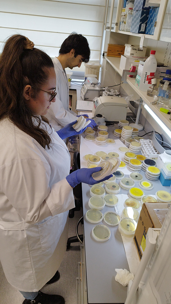 Bienvenue Daniel – The Pollmann Lab